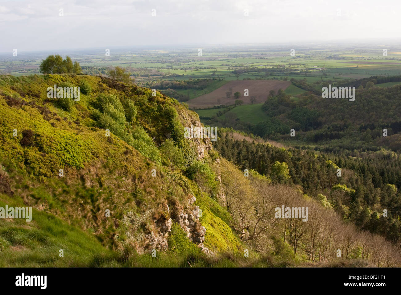View from Sutton Bank on the Cleveland Way, England Stock Photo - Alamy
