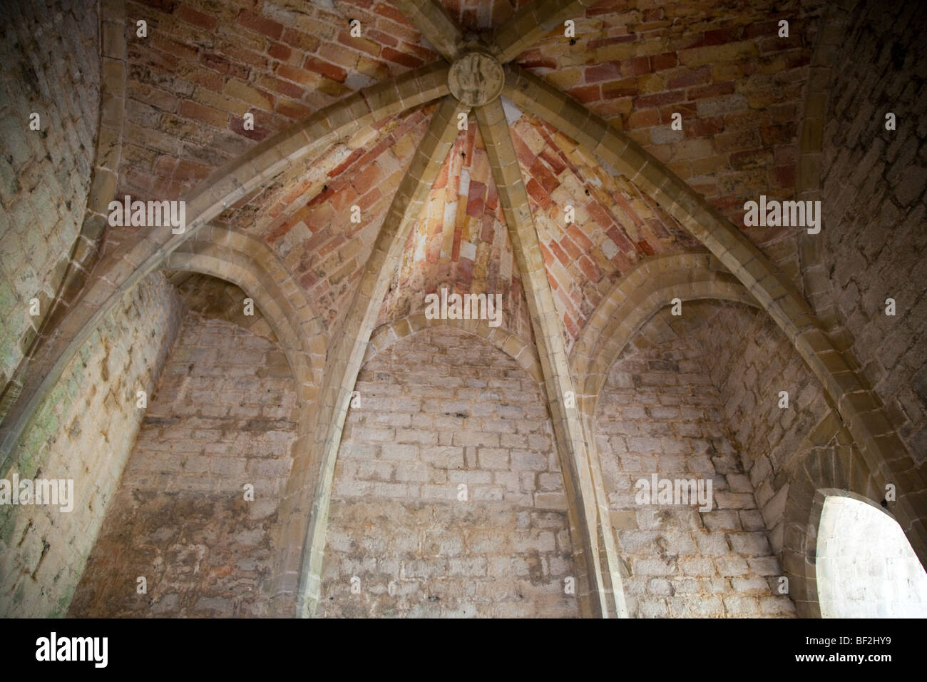 France, Puivert Castle, The Chateau de Puivert- Cathar castle, the ...
