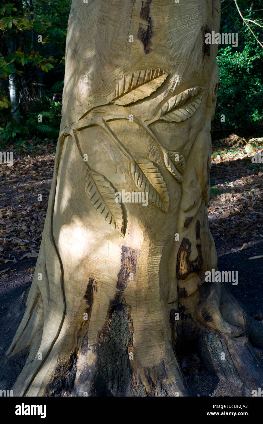Robin hill country park england hi-res stock photography and images - Alamy