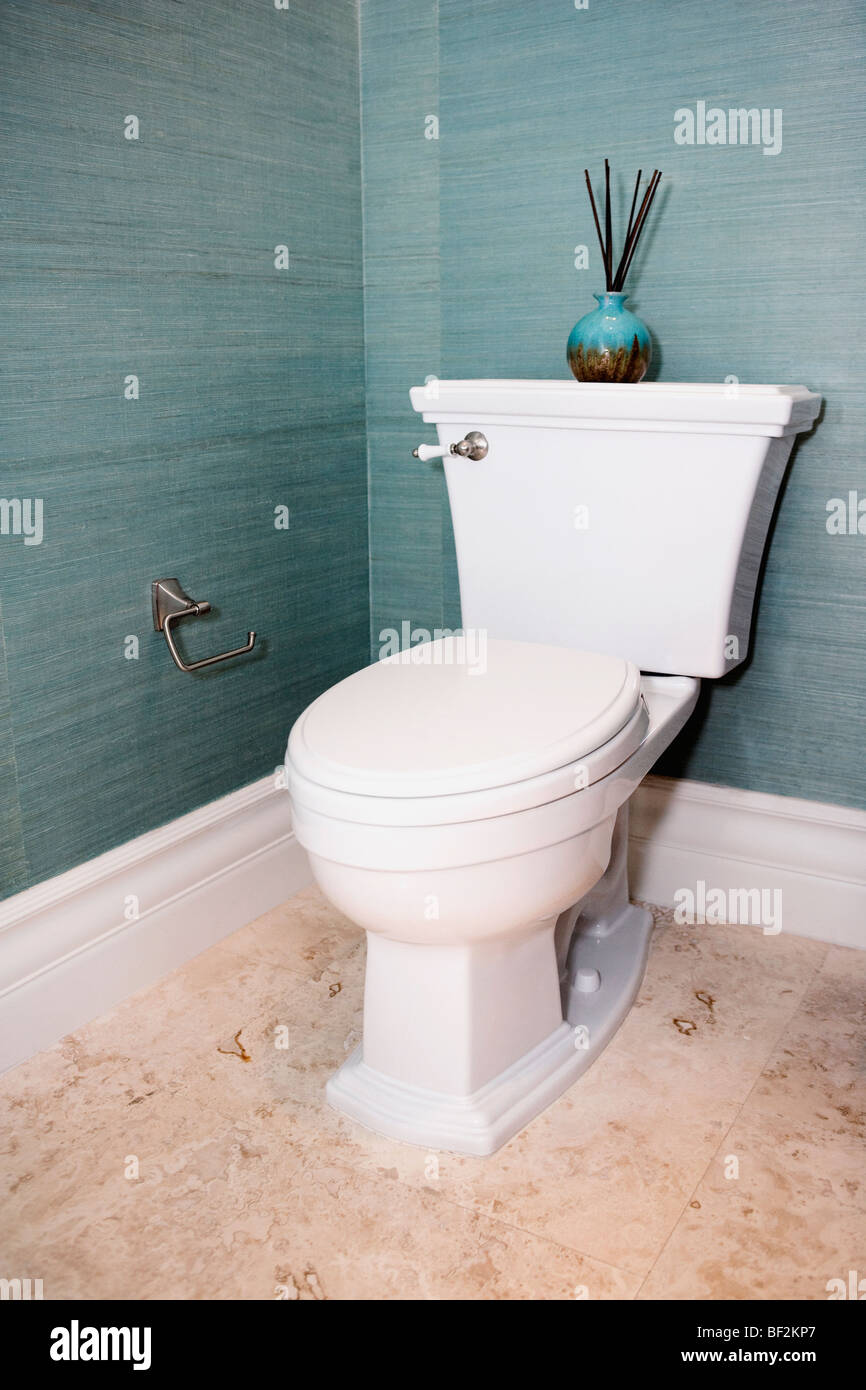 Toilet bowl in the bathroom Stock Photo - Alamy