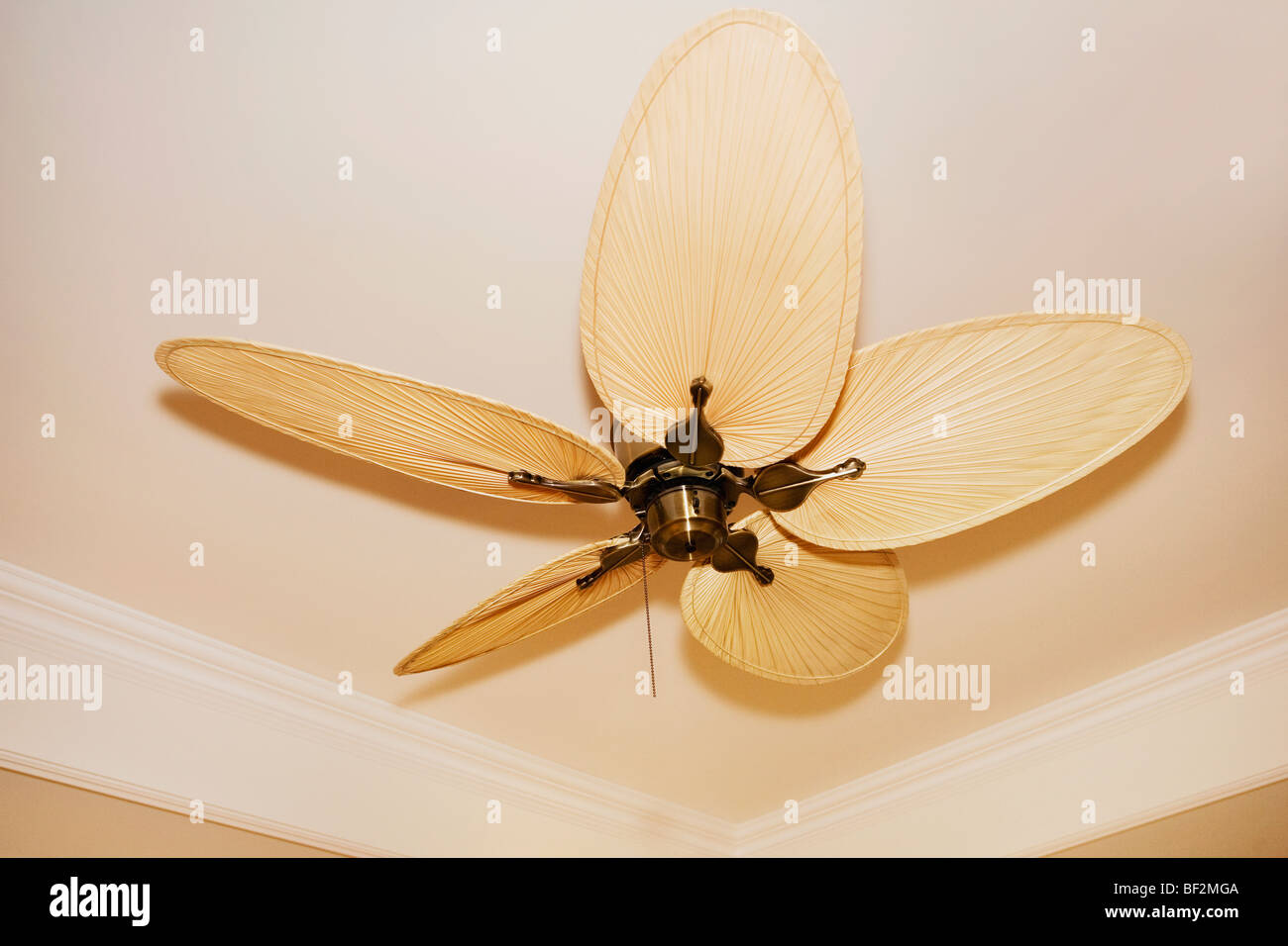 Hanging fan hi-res stock photography and images - Alamy