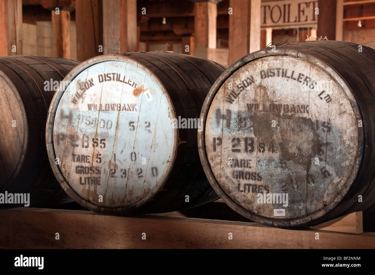 Barrels/Casks Of whiskey Maturing in the store rooms Stock Photo - Alamy