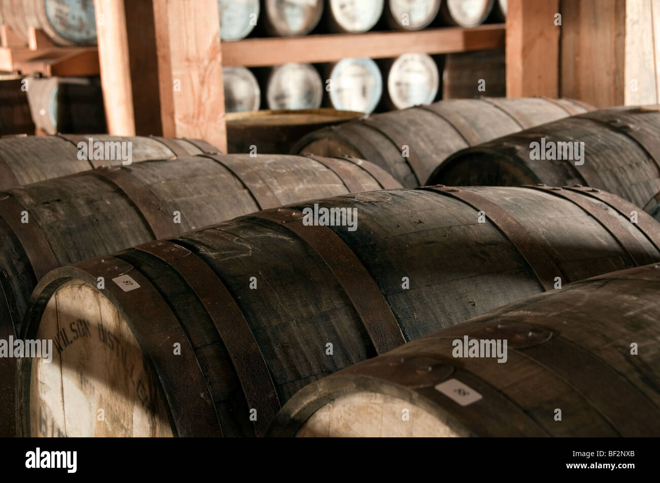 Barrels/Casks Of whiskey Maturing in the store rooms Stock Photo - Alamy