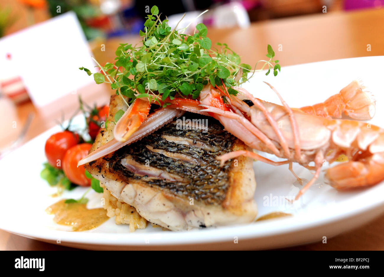 Sea Bass Fillet Risotto at Wendell Blakely blog