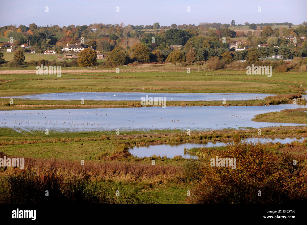 Late afternoon sunshine over the RSPB Pulborough Brooks Nature reserve ...