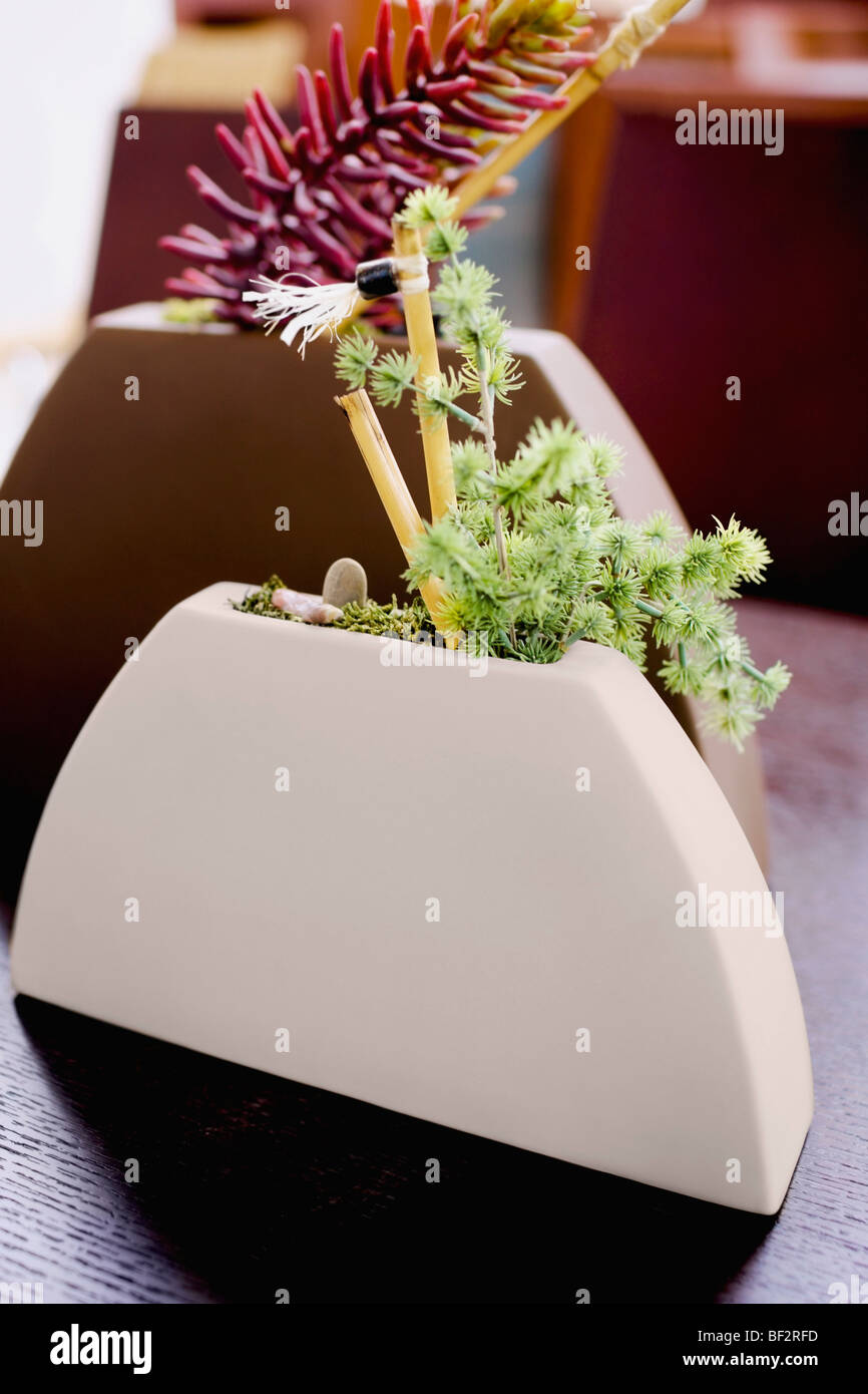 Dainty plant pots hi-res stock photography and images - Alamy