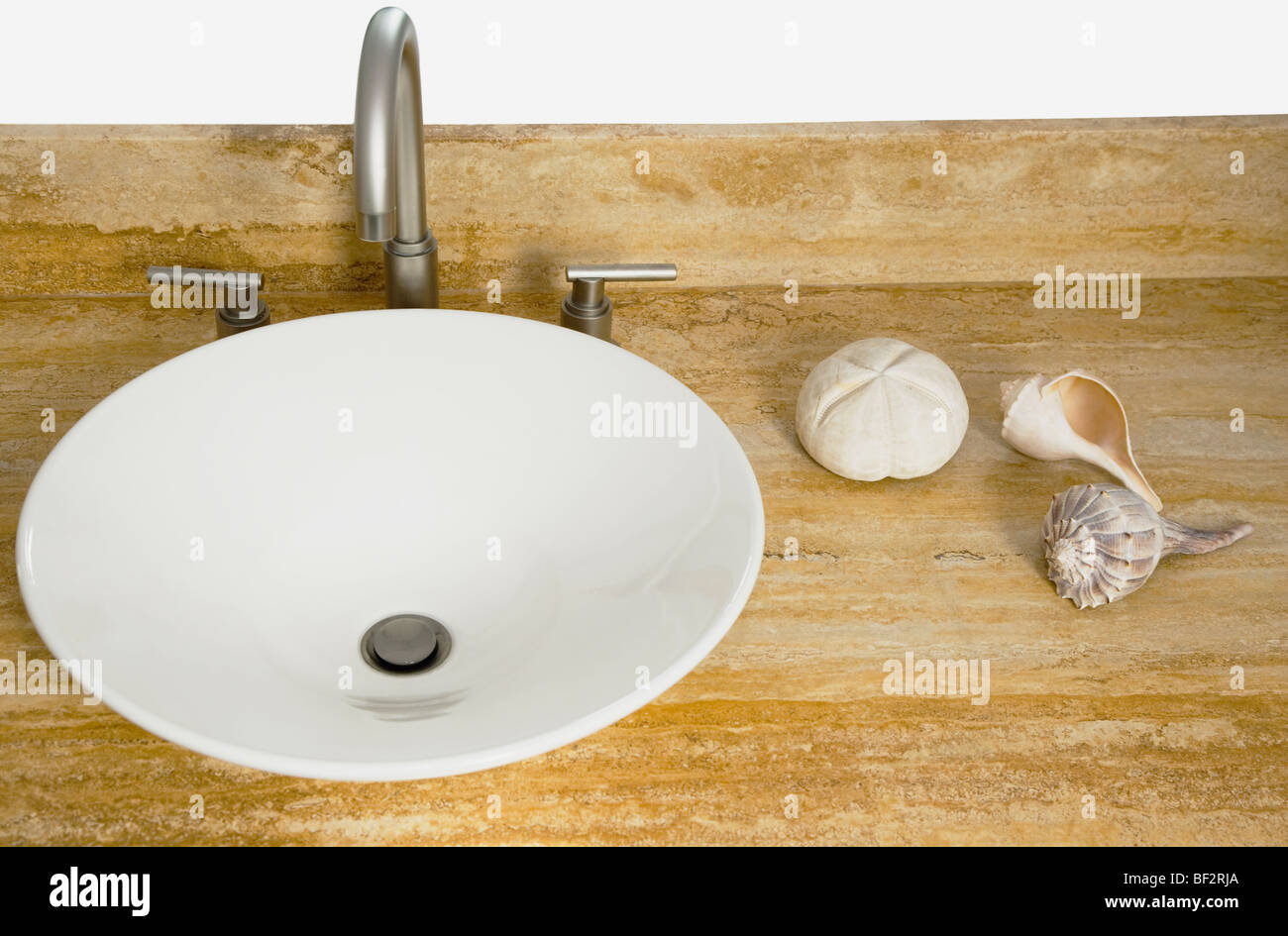 Cleaning shells hi-res stock photography and images - Alamy