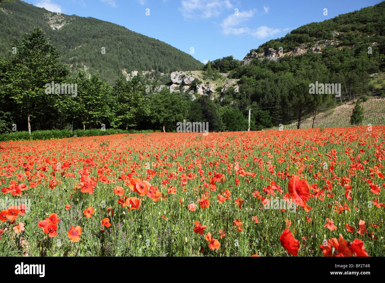 France Tran Gorges Stock Photo - Alamy