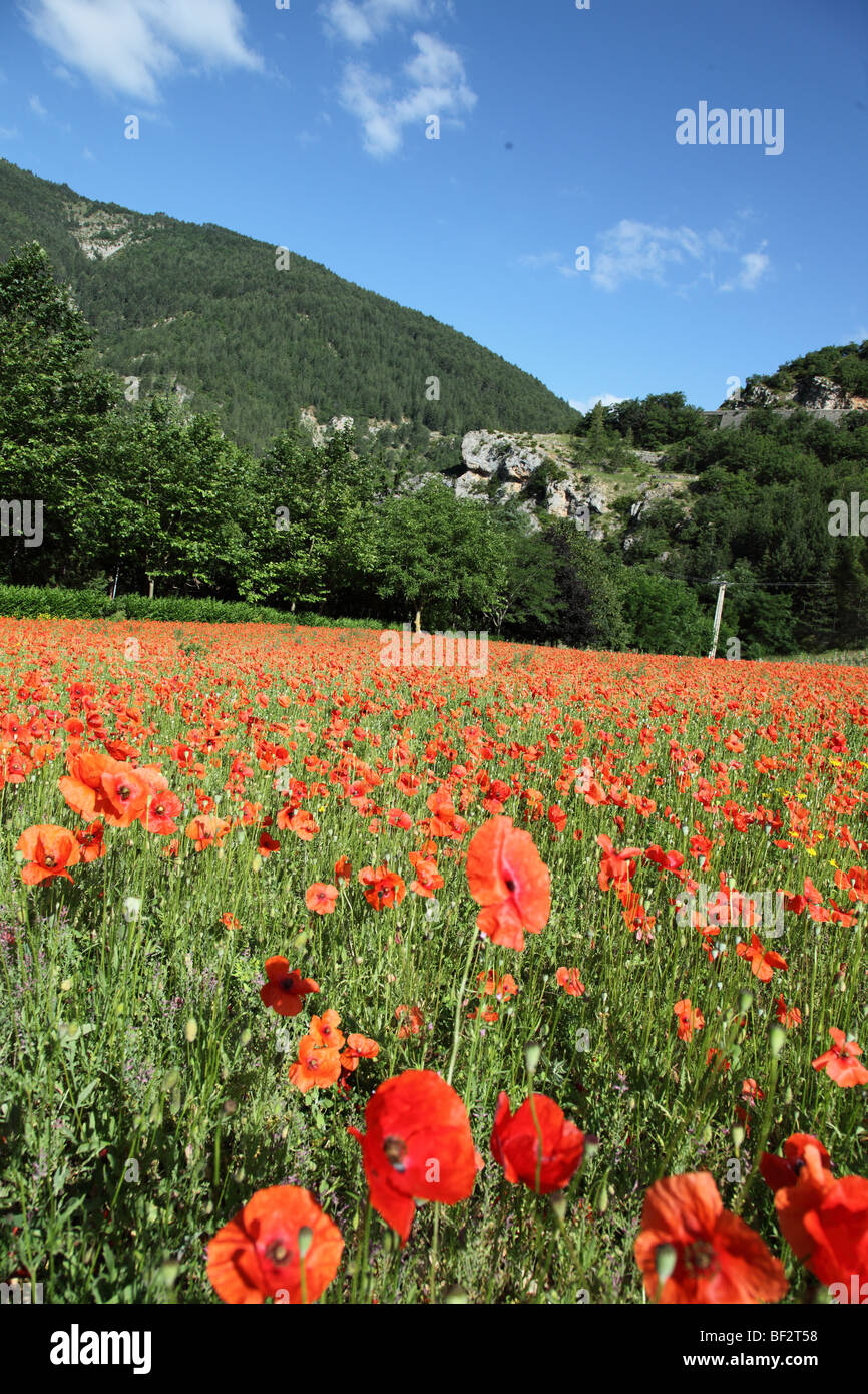 France Tran Gorges Stock Photo - Alamy