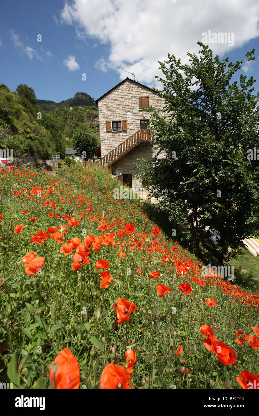 France Tran Gorges Stock Photo - Alamy