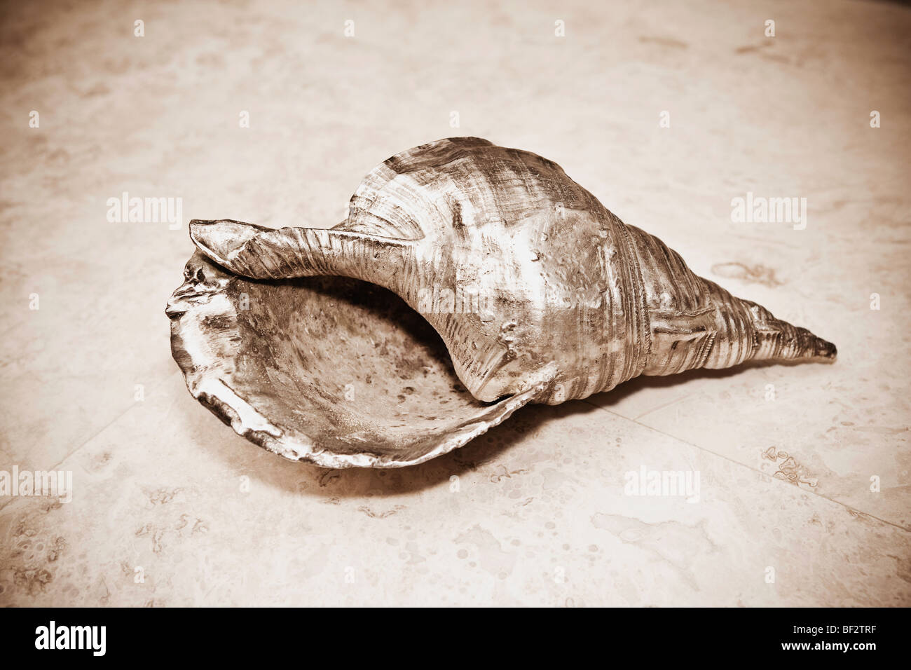 Shell cladding hi-res stock photography and images - Alamy