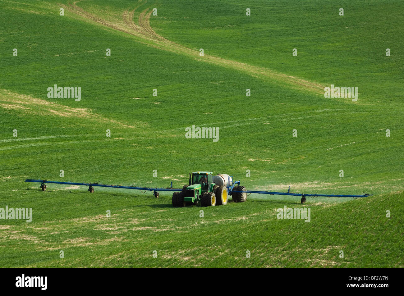 Herbicide spraying on weeds control hi-res stock photography and images ...