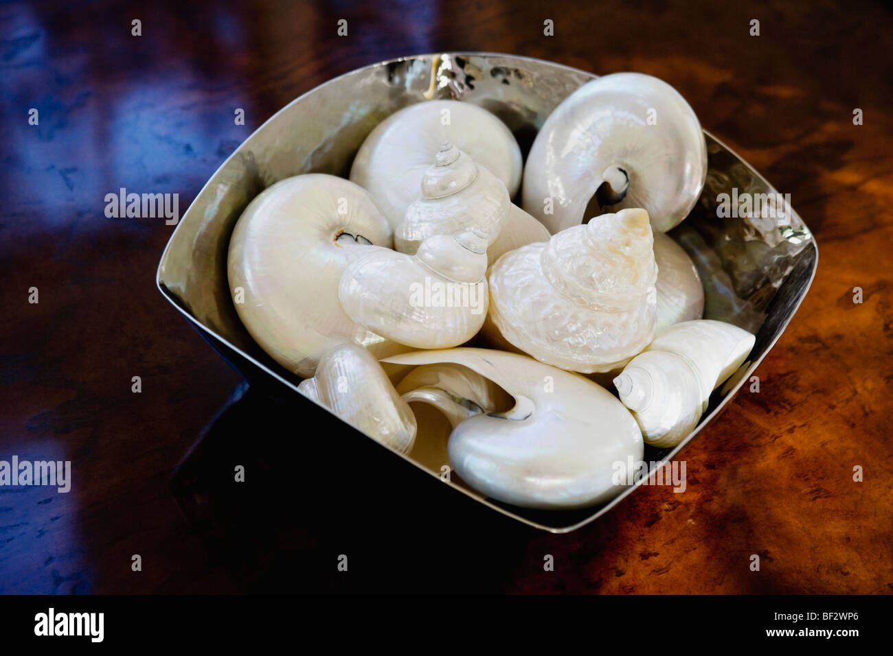 Conch Shell House High Resolution Stock Photography and Images - Alamy