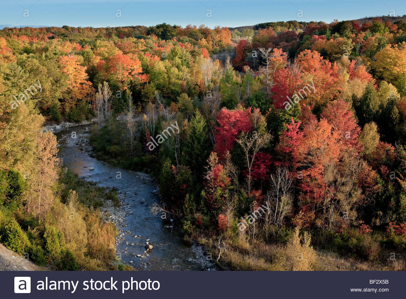 Eastern Deciduous Forest Stock Photos & Eastern Deciduous Forest Stock ...