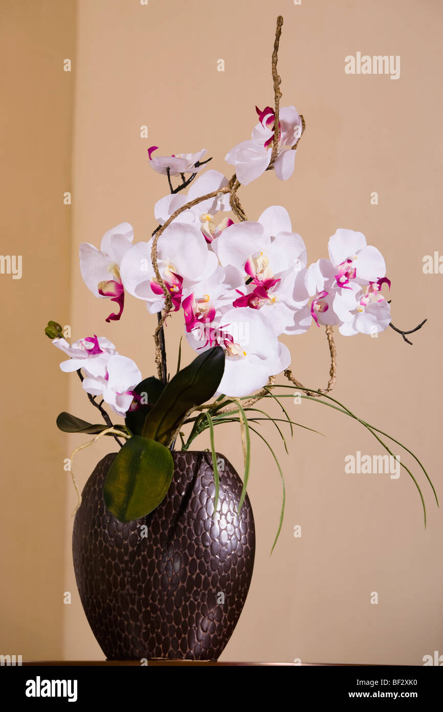 Showpiece flower hi-res stock photography and images - Alamy