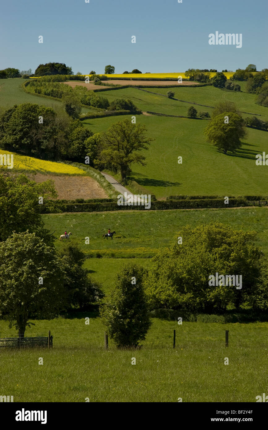 A typical English landscape in the Cotswolds Stock Photo - Alamy