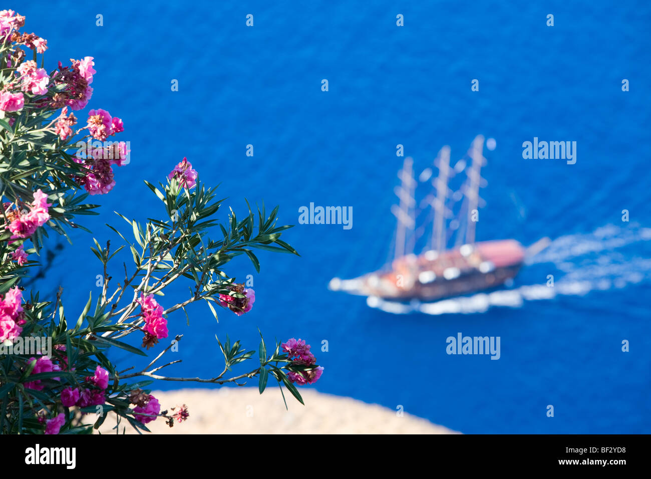 Flowers and sailing boat. Focus on flowers Stock Photo - Alamy