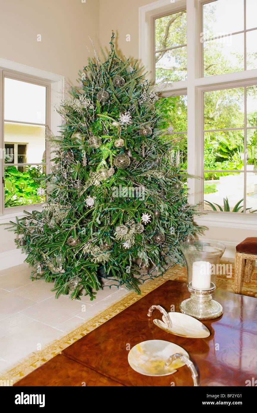 Bottom of christmas tree hi-res stock photography and images - Alamy