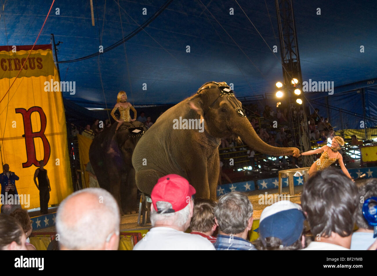 Clyde Beatty Cole Brothers Bros. Circus largest traveling show under ...