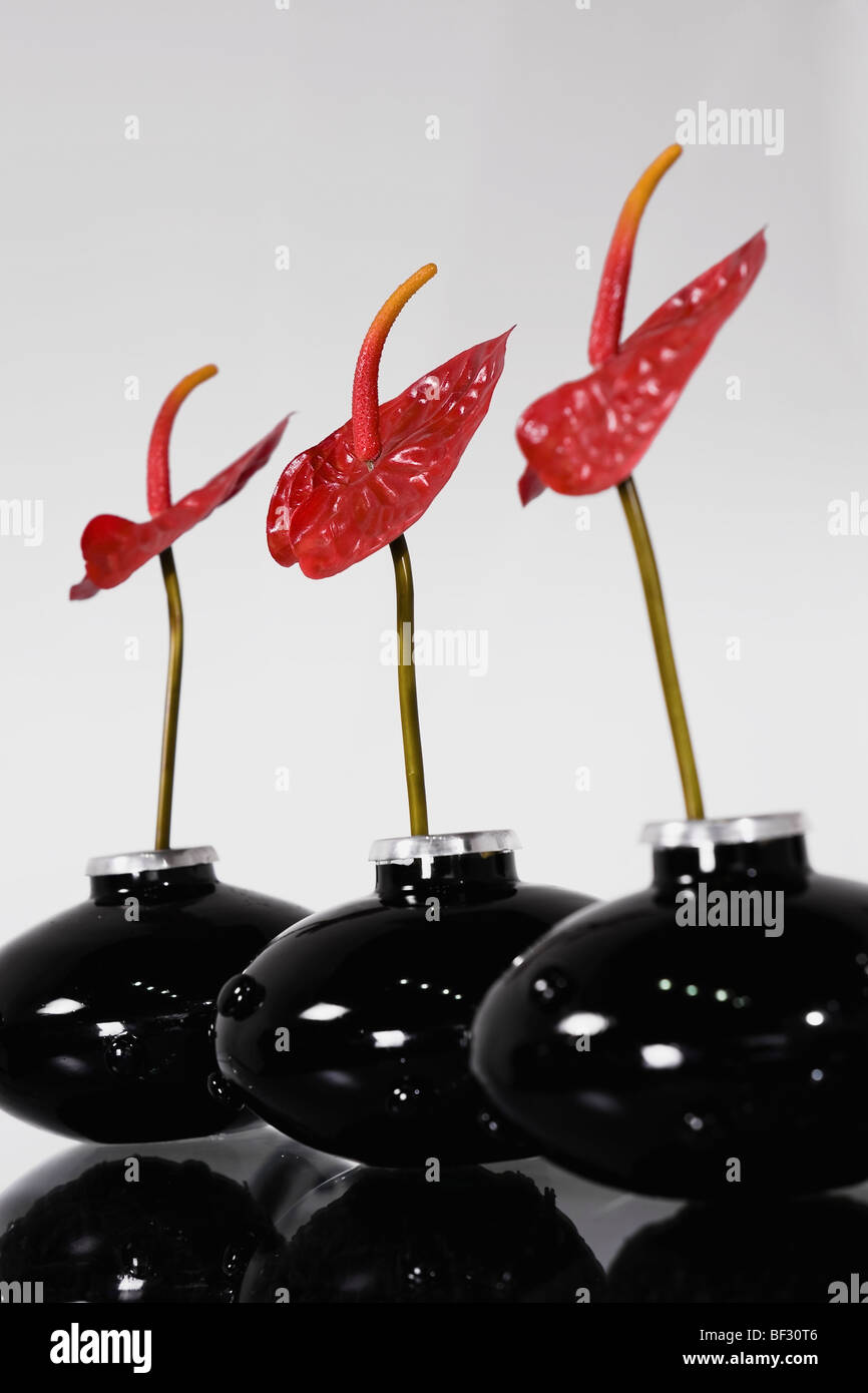 Grouping of vases hi-res stock photography and images - Alamy