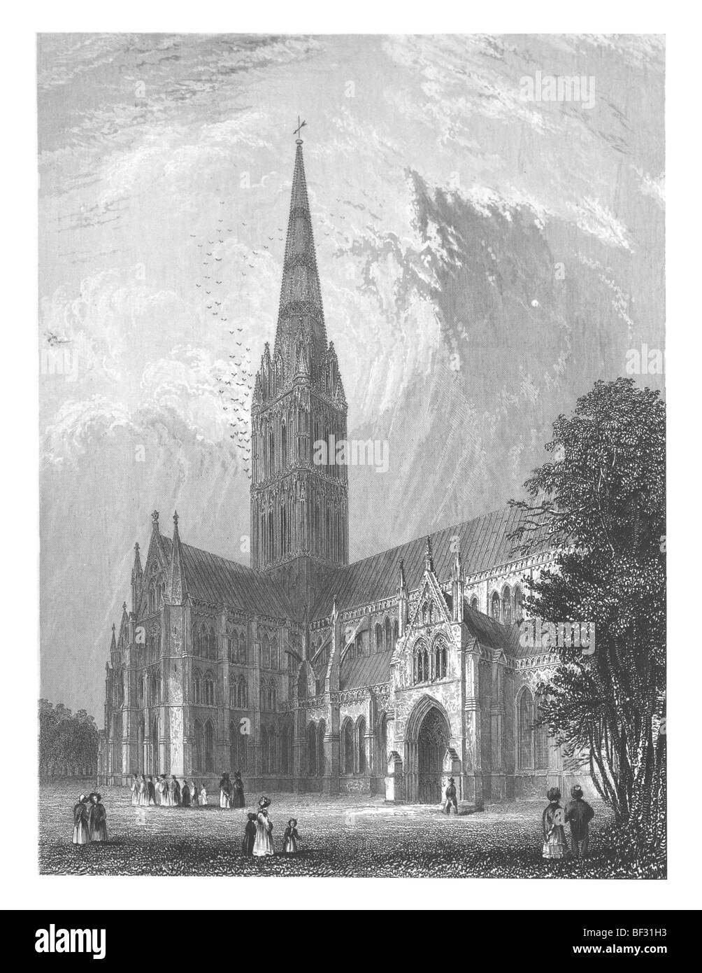 Salisbury Cathedral, North Side view Stock Photo - Alamy