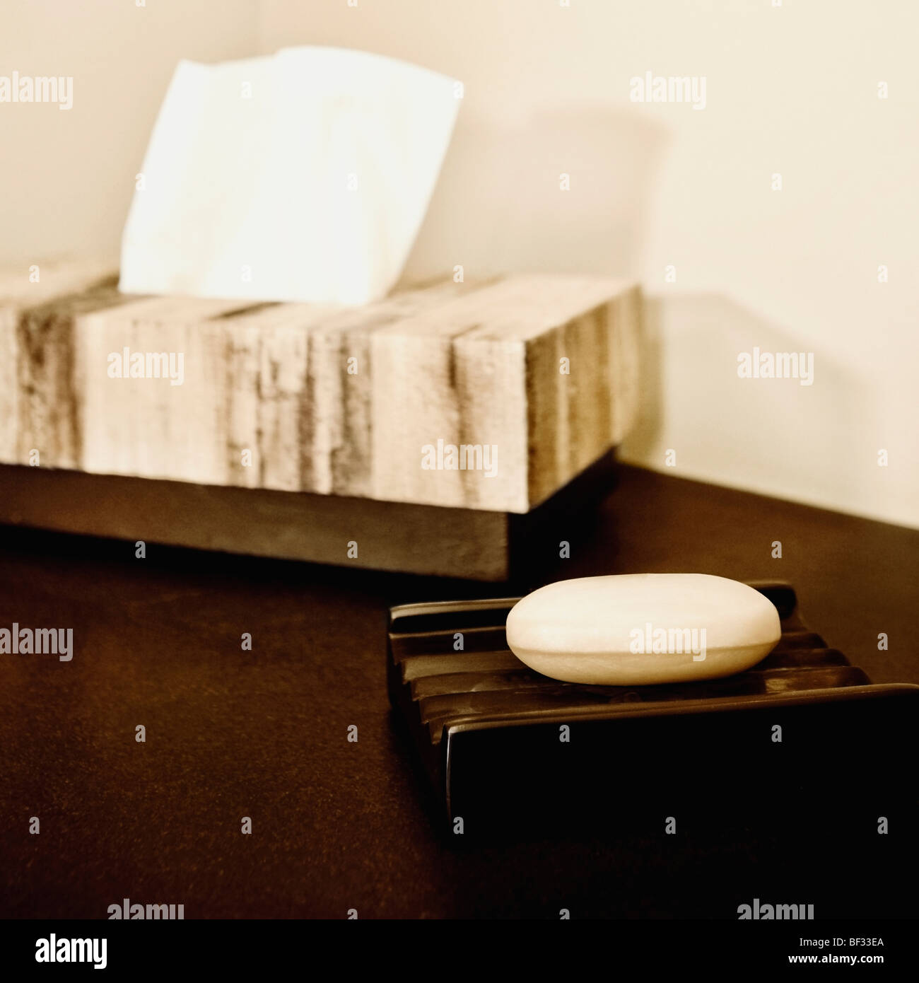 Bar of soap with tissue paper Stock Photo - Alamy