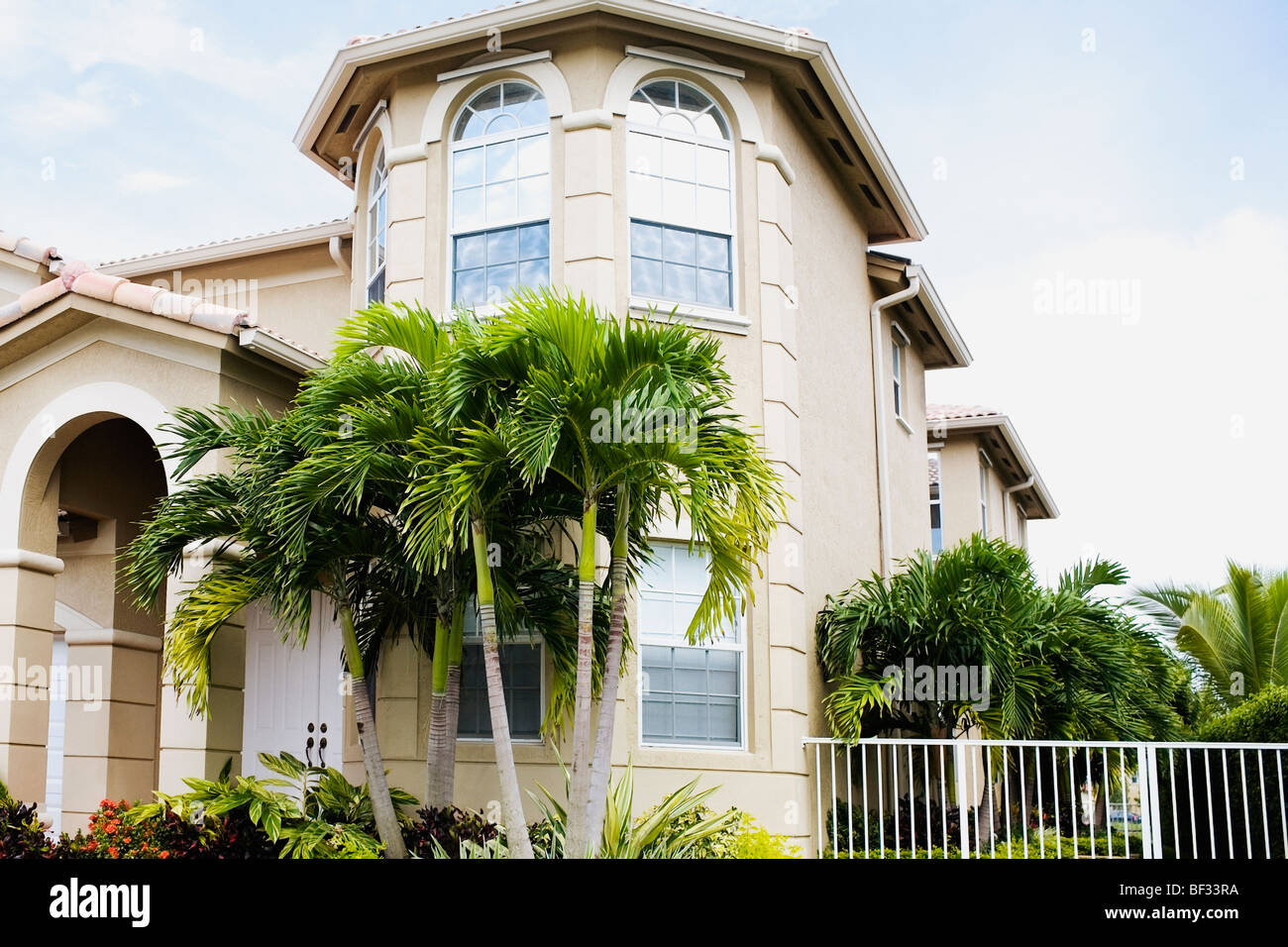 Palm tree in front of a building Stock Photo - Alamy