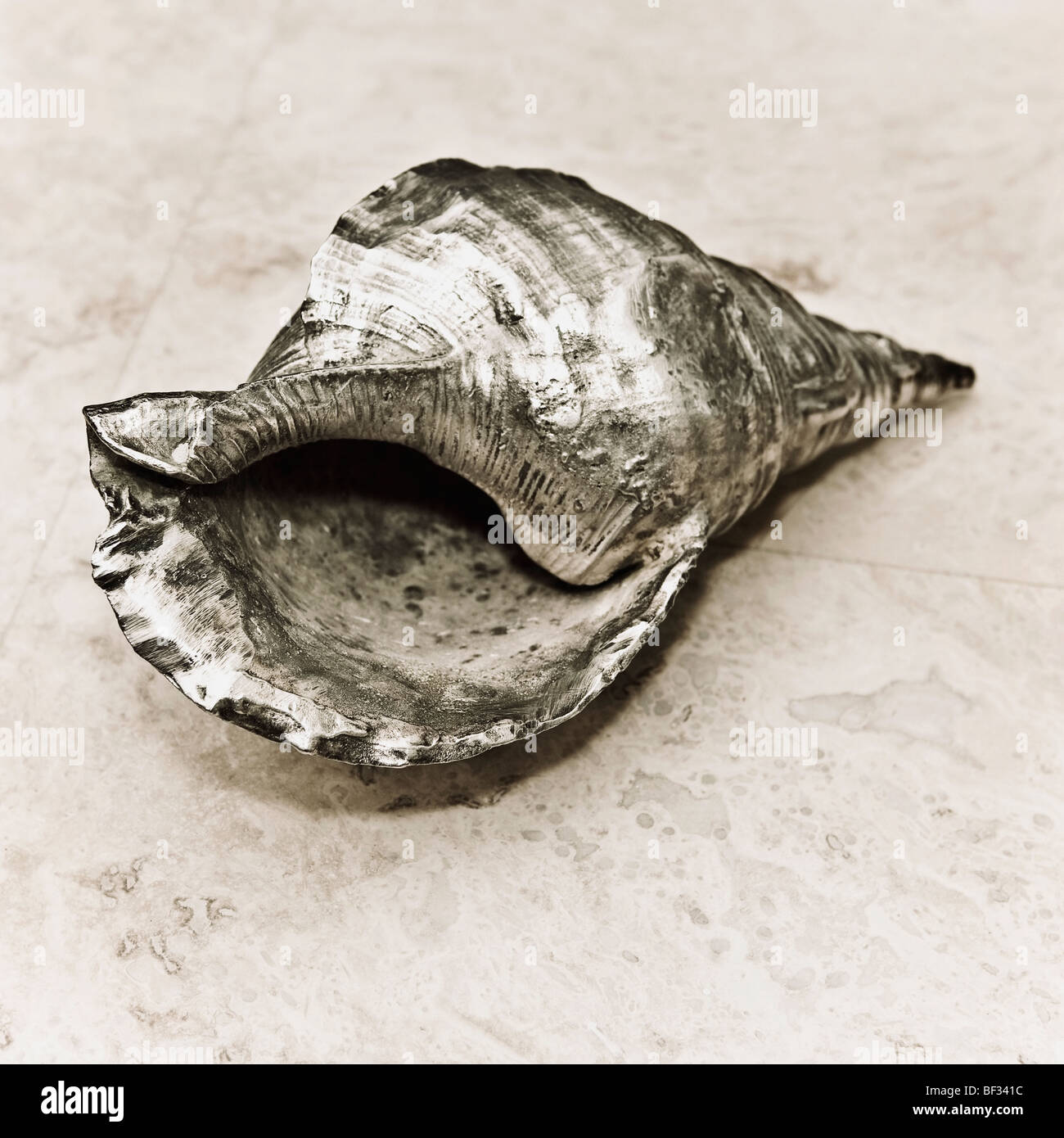 Conch shell house hi-res stock photography and images - Alamy
