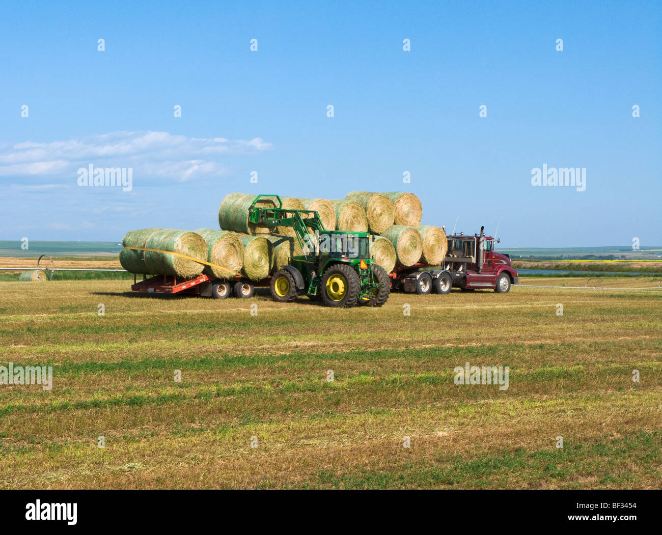 Hay loading hi-res stock photography and images - Alamy