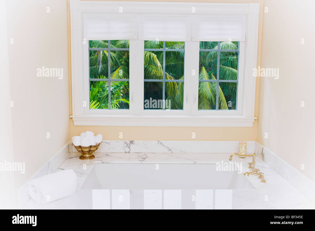 Reclaimed bathtub hi-res stock photography and images - Alamy