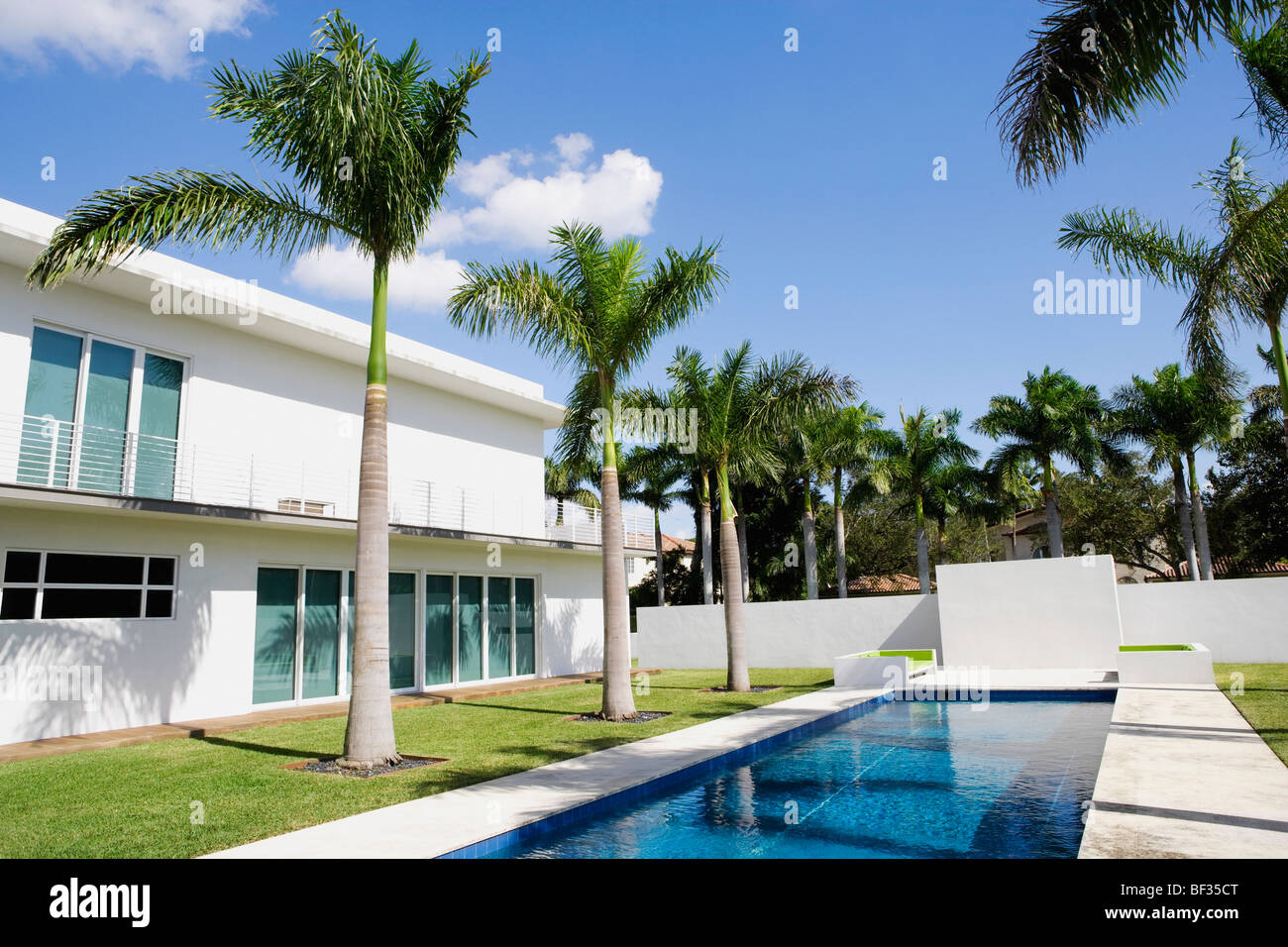 Palm Tree Swimming Pool Misters