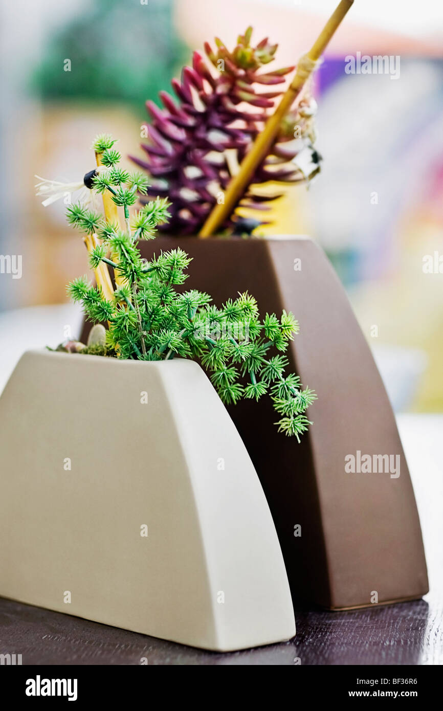 Dainty plant pots hi-res stock photography and images - Alamy