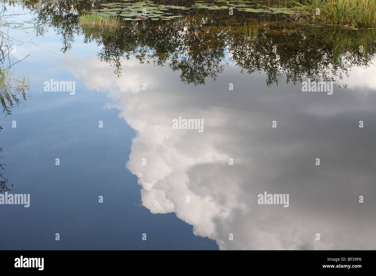 Reflected Landscape and Cloud Stock Photo - Alamy