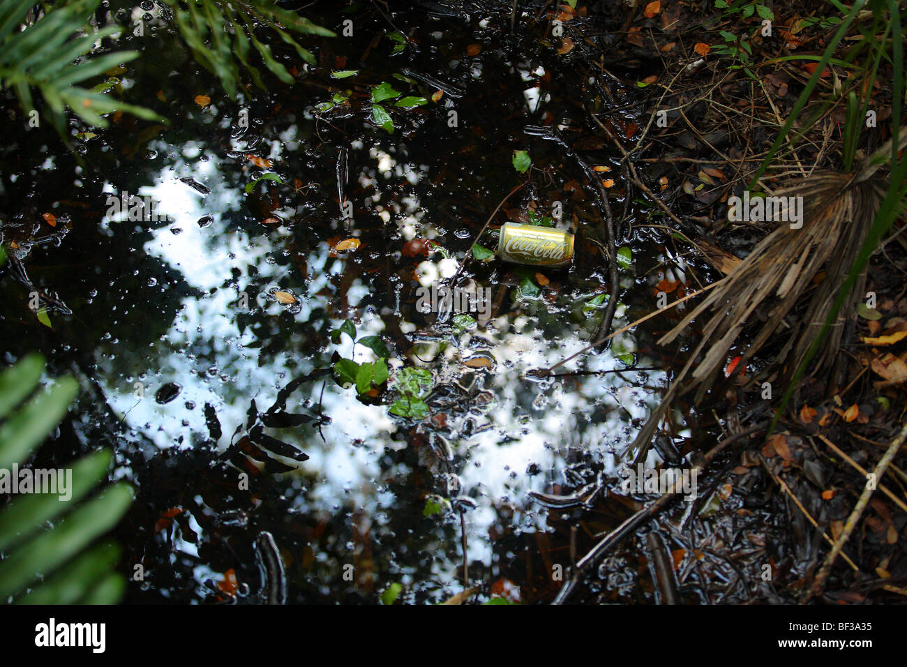 Trash garbage pollution coca cola hi-res stock photography and images ...