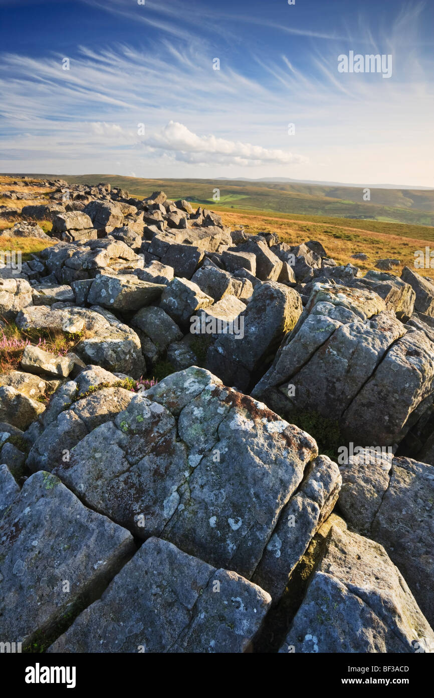 Allendale hi-res stock photography and images - Alamy