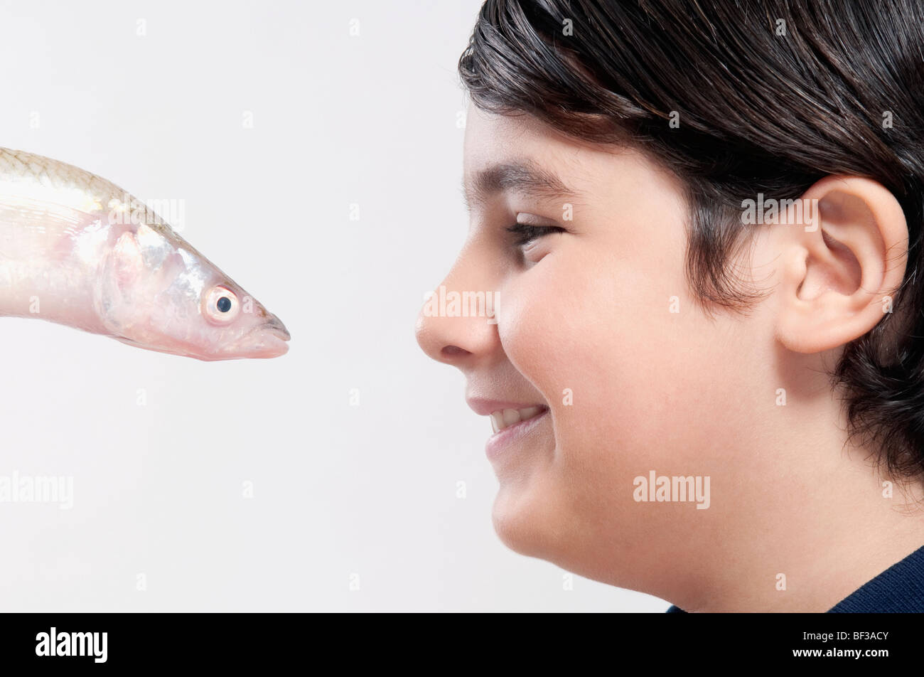 Sideways fish hi-res stock photography and images - Alamy
