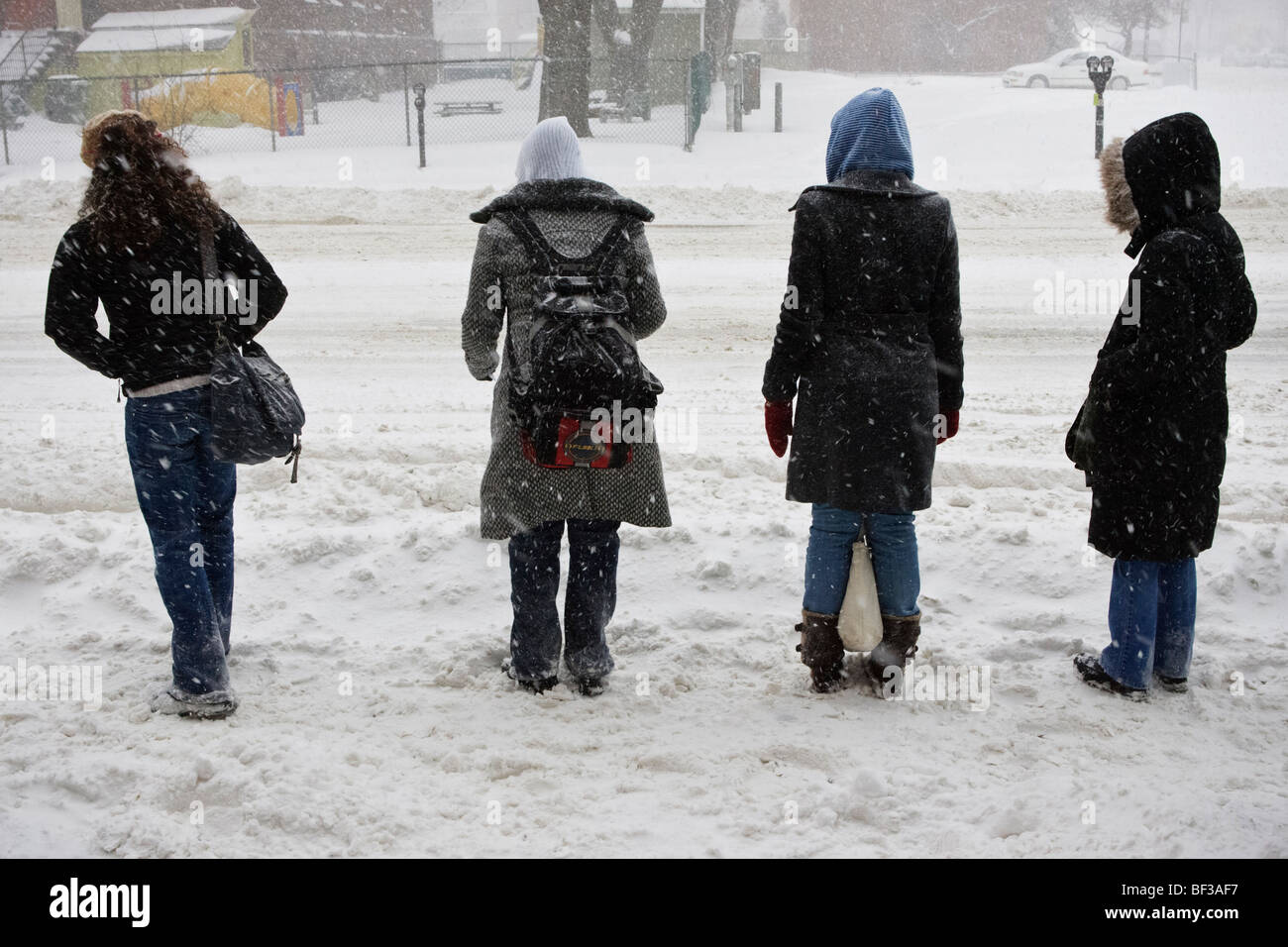 Four women waiting at a bus stop during a heavy snow storm on the ...