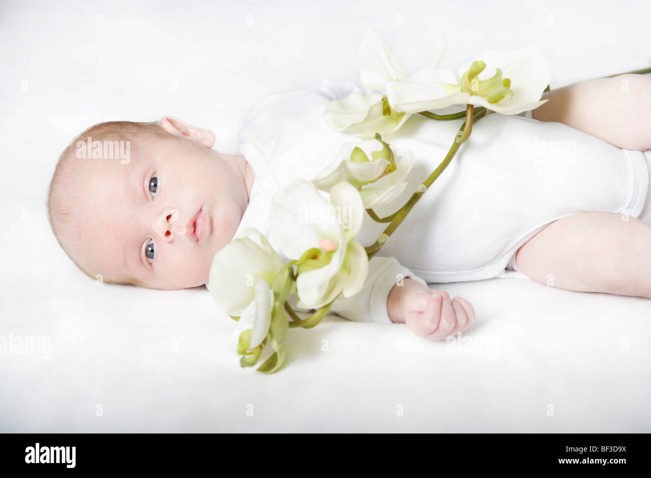 Baby and flower hi-res stock photography and images - Alamy