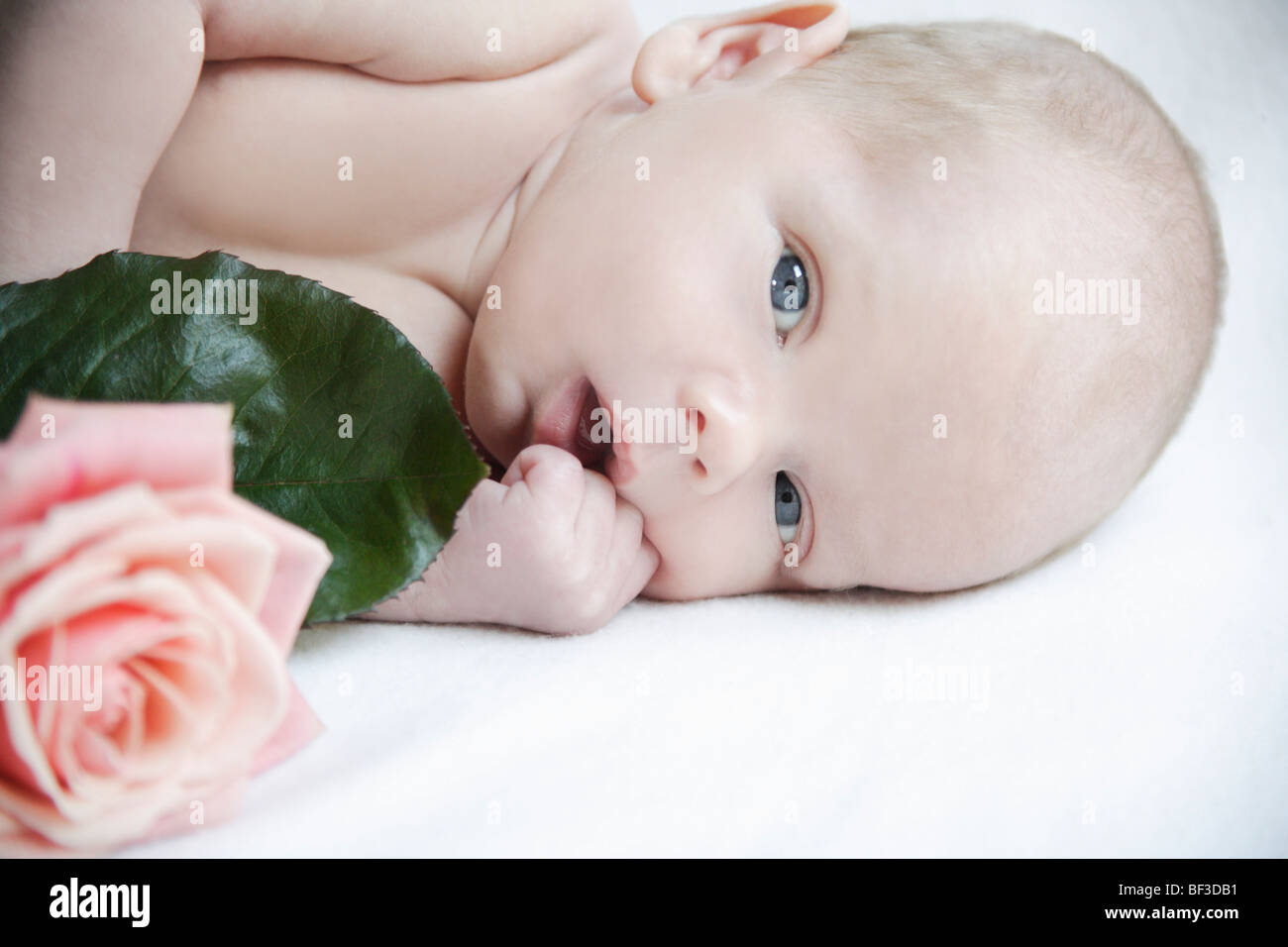 baby with flower Stock Photo - Alamy