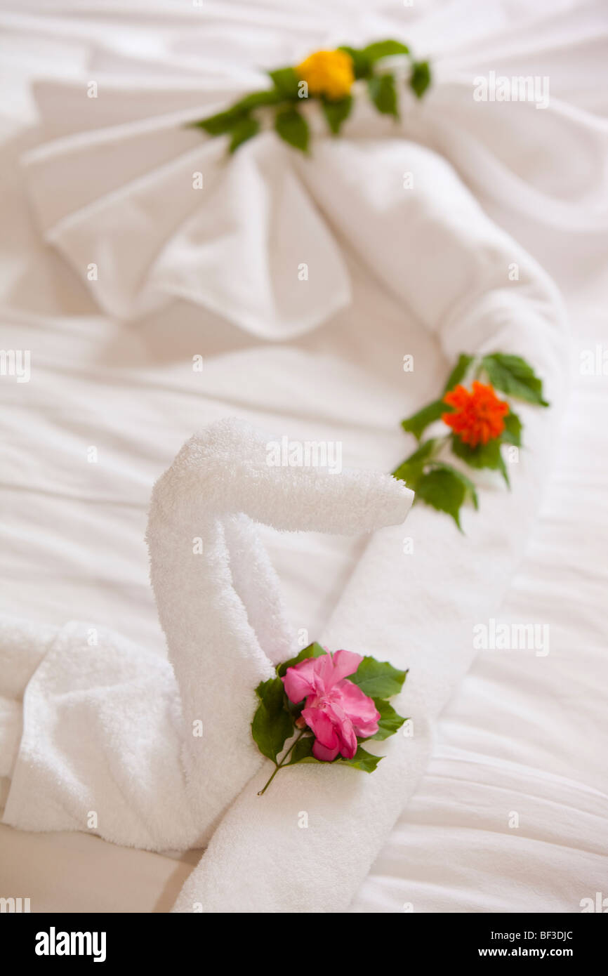 Swan service hi-res stock photography and images - Alamy