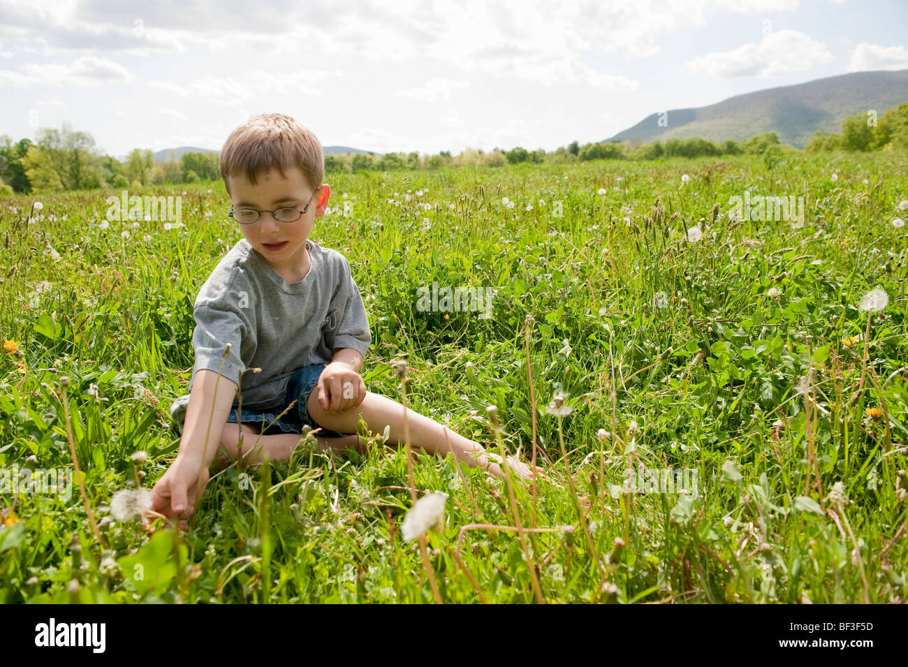 Child playing in field in springtime Stock Photo - Alamy