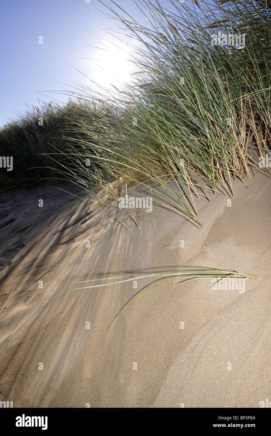Talacre sand dunes hi-res stock photography and images - Alamy