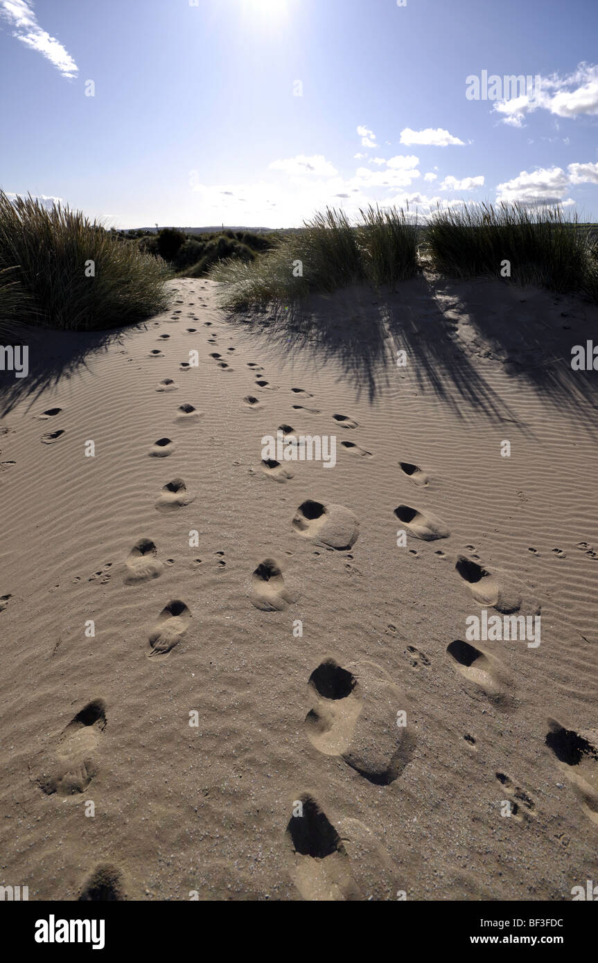 Sand dunes talacre beach point hi-res stock photography and images - Alamy