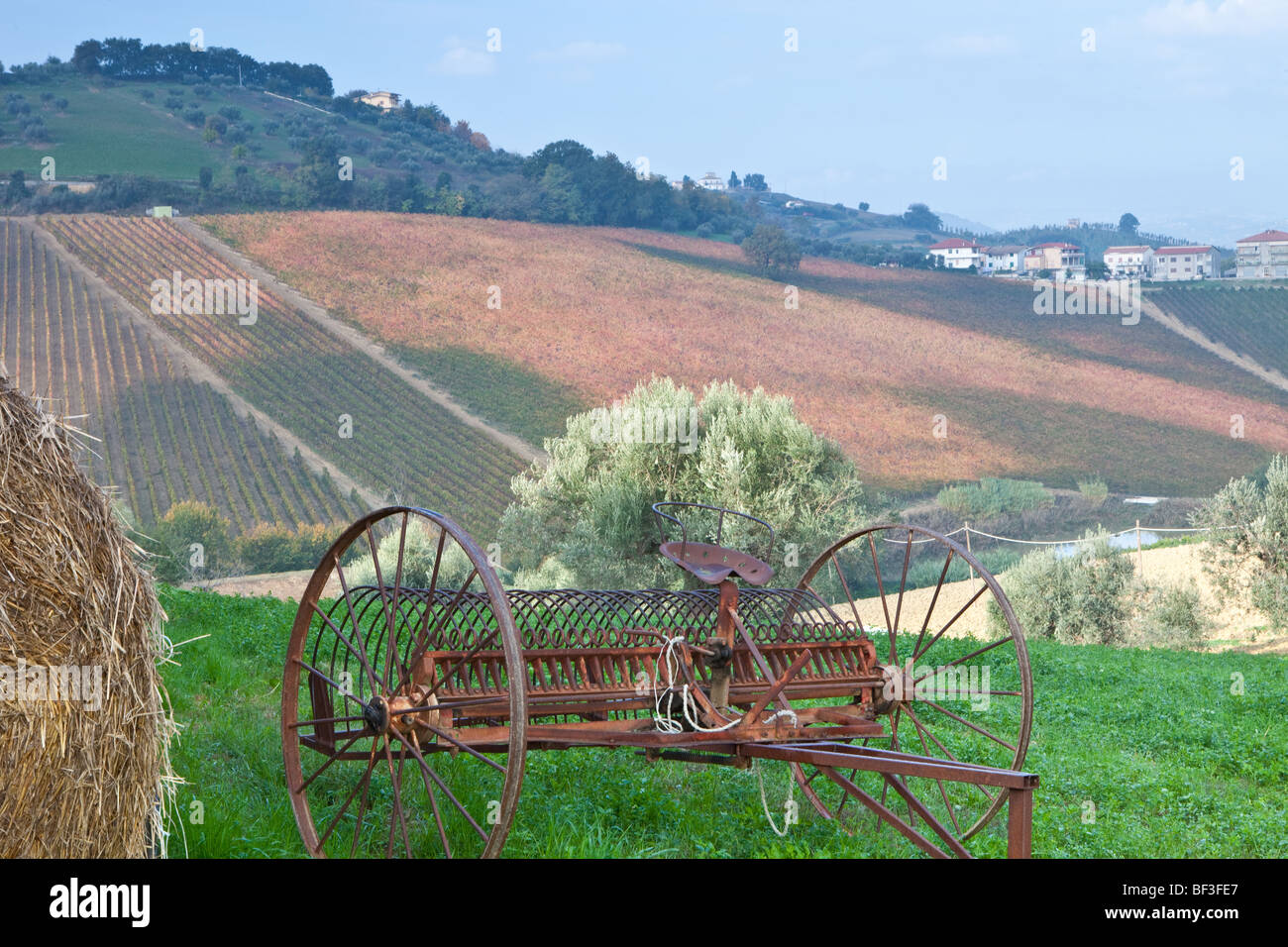 A rusting farm machine with a background of grape vines Stock Photo - Alamy