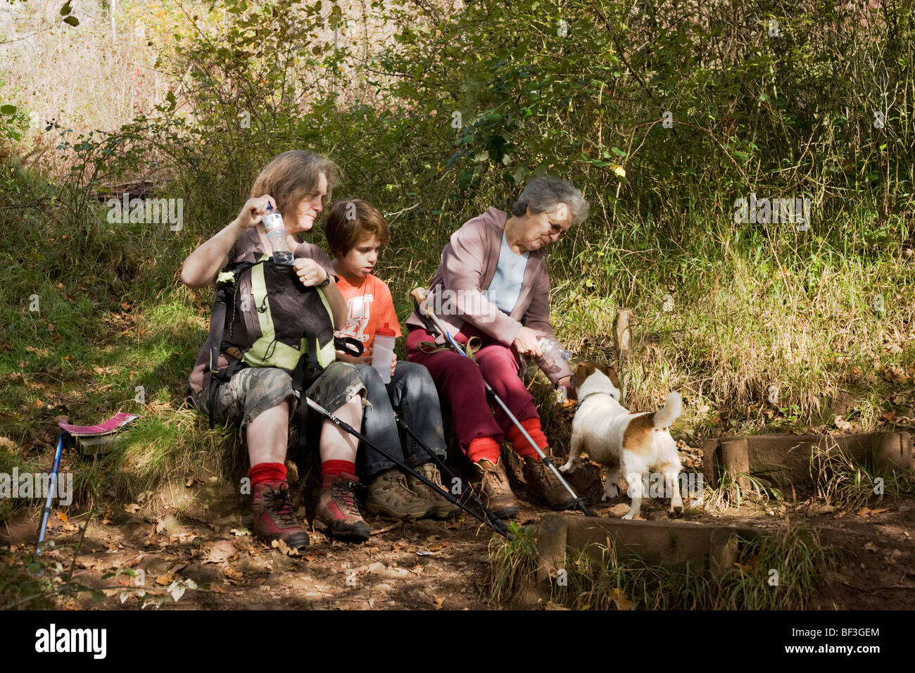 Rowberrow somerset hi-res stock photography and images - Alamy