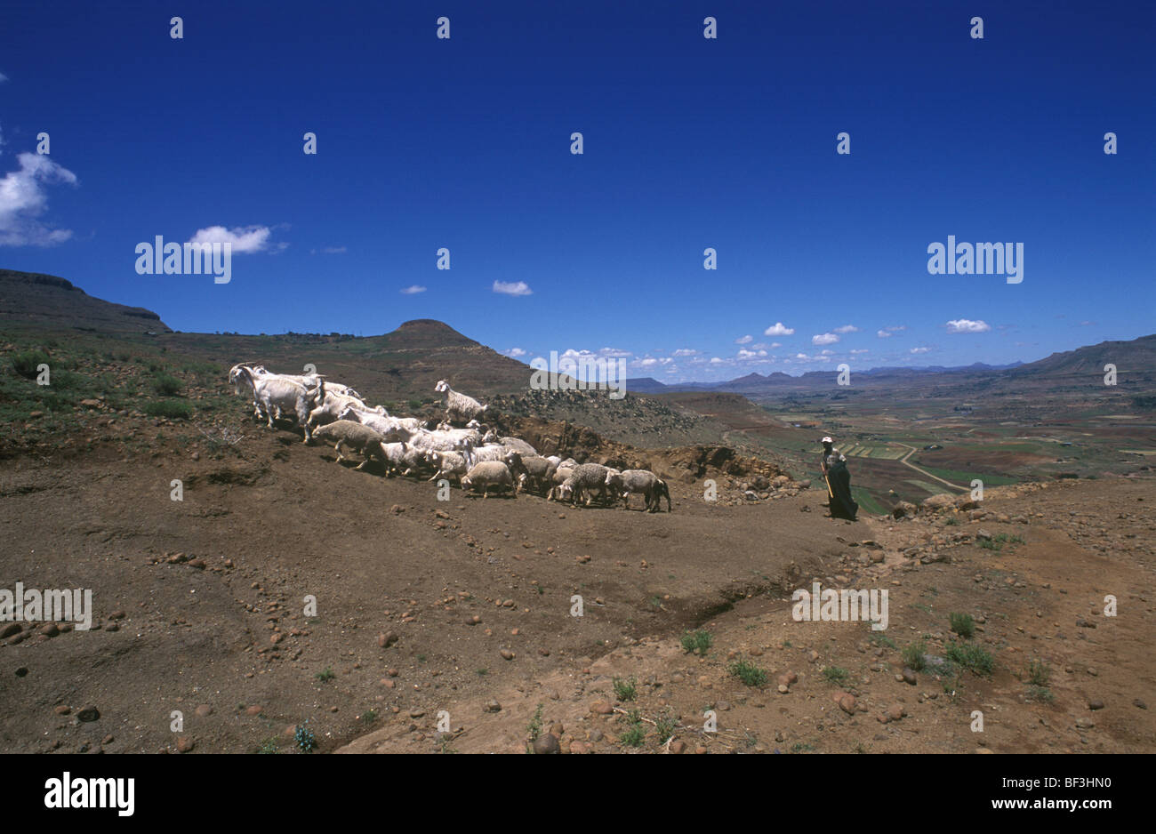 Lesotho highlands hi-res stock photography and images - Alamy