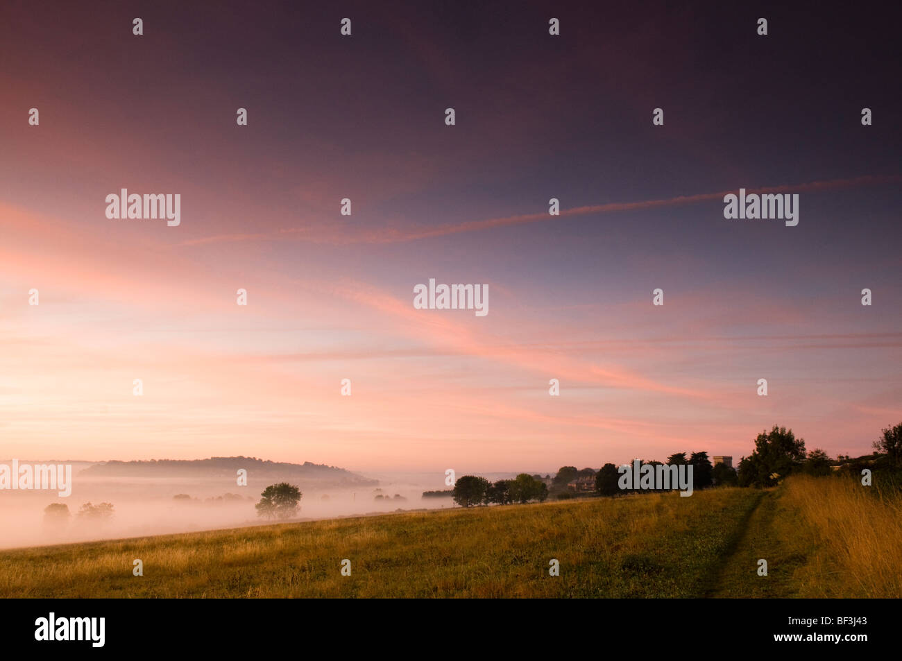 Whiteshill hi-res stock photography and images - Alamy
