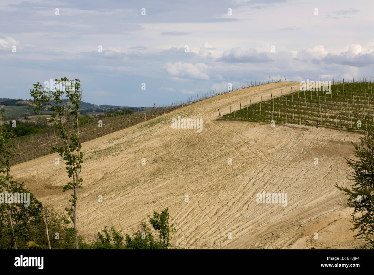 Field Calamandrana Langhe Italy Stock Photo - Alamy