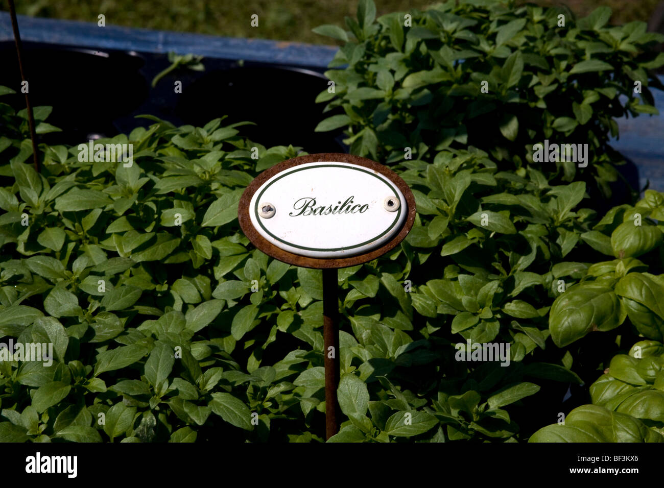Herb garden sign hi-res stock photography and images - Alamy