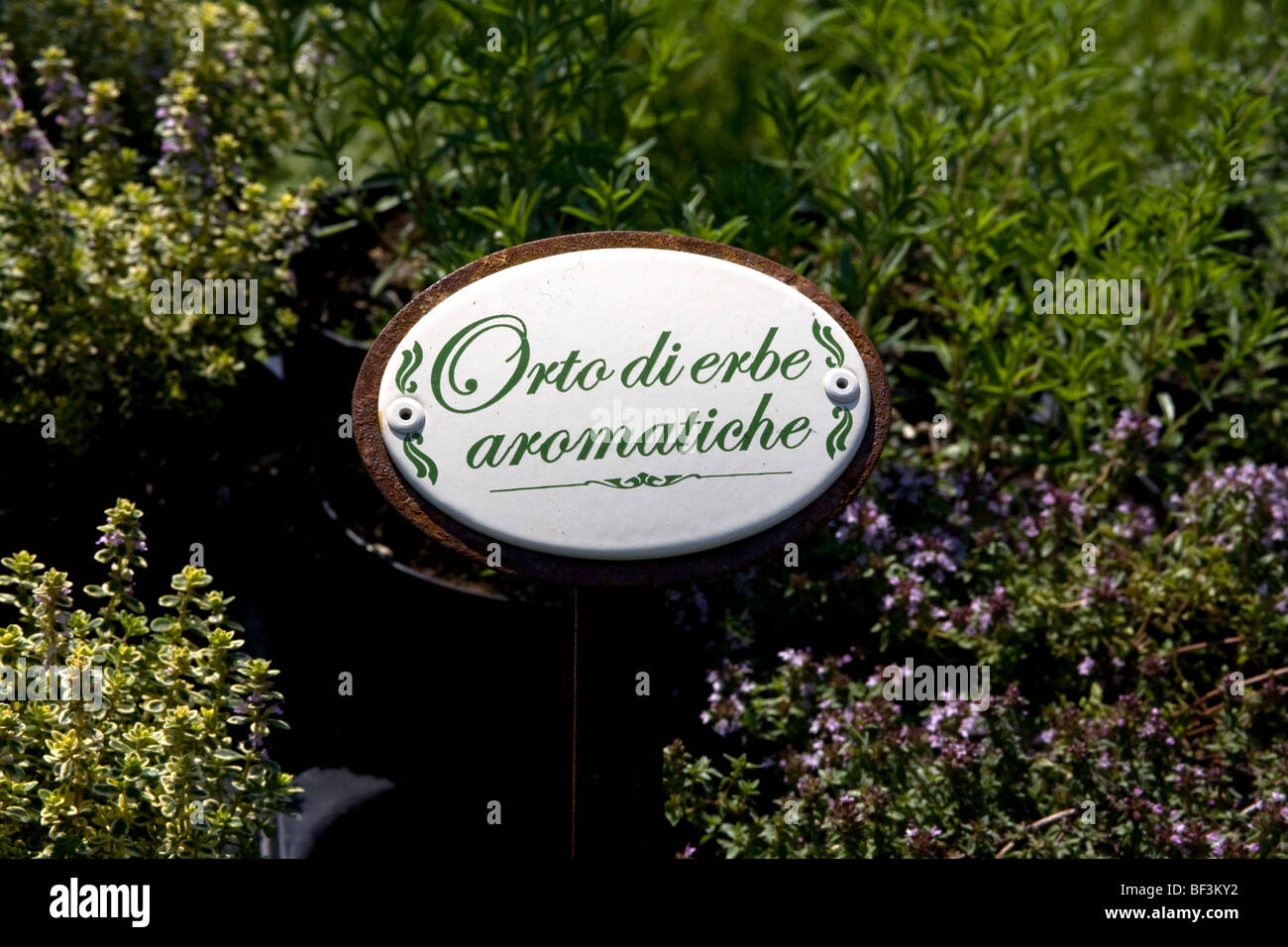 Aromatic herbs sign in kitchen garden Stock Photo - Alamy